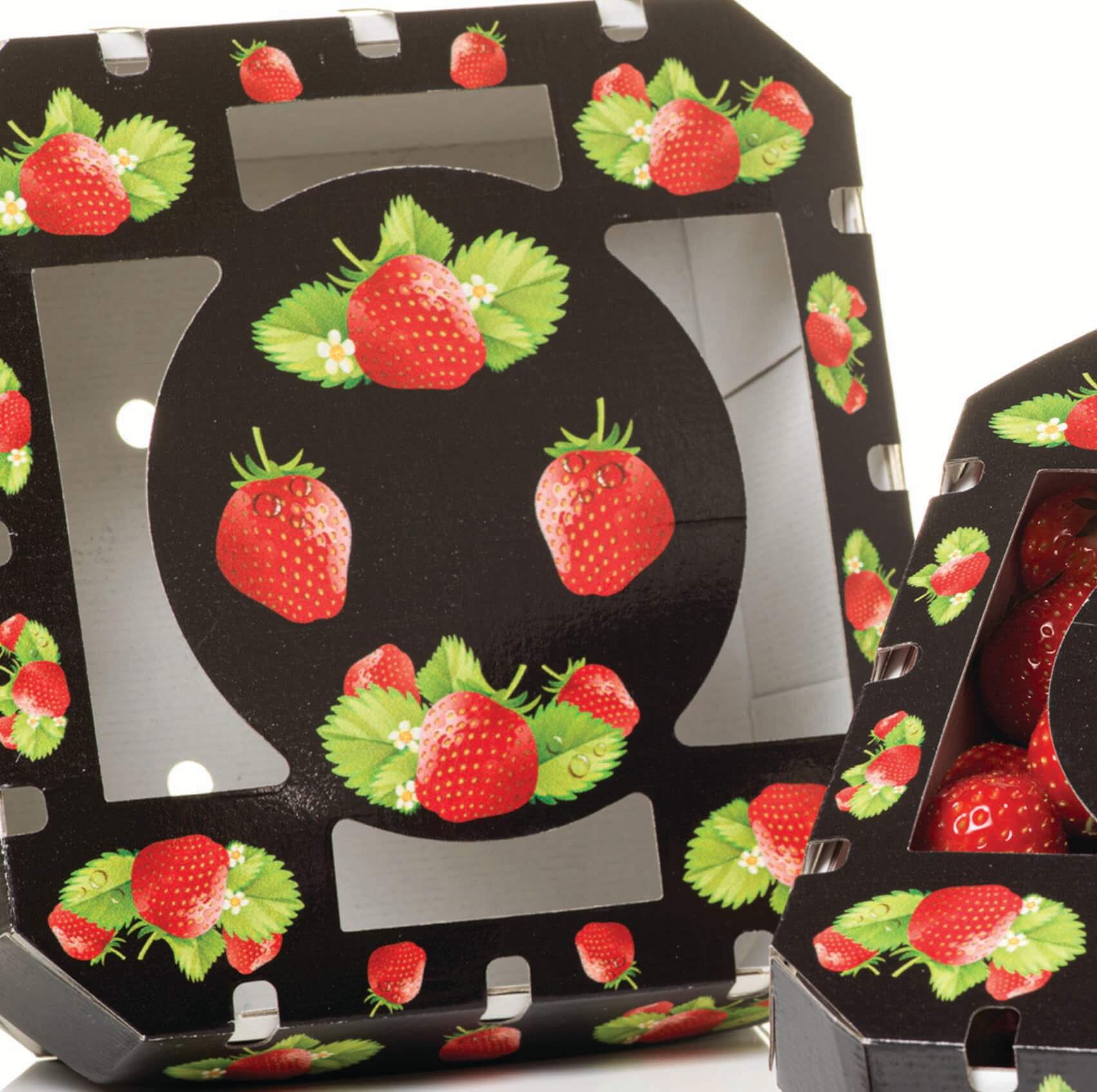 Retailers – Pro Carton