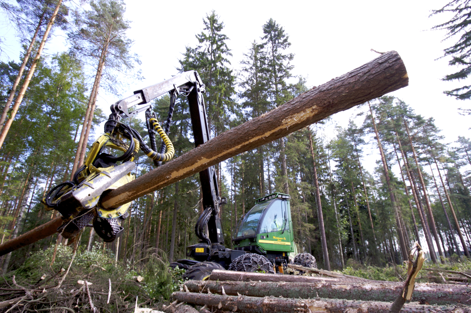 Sustainable Forest Management - Pro Carton