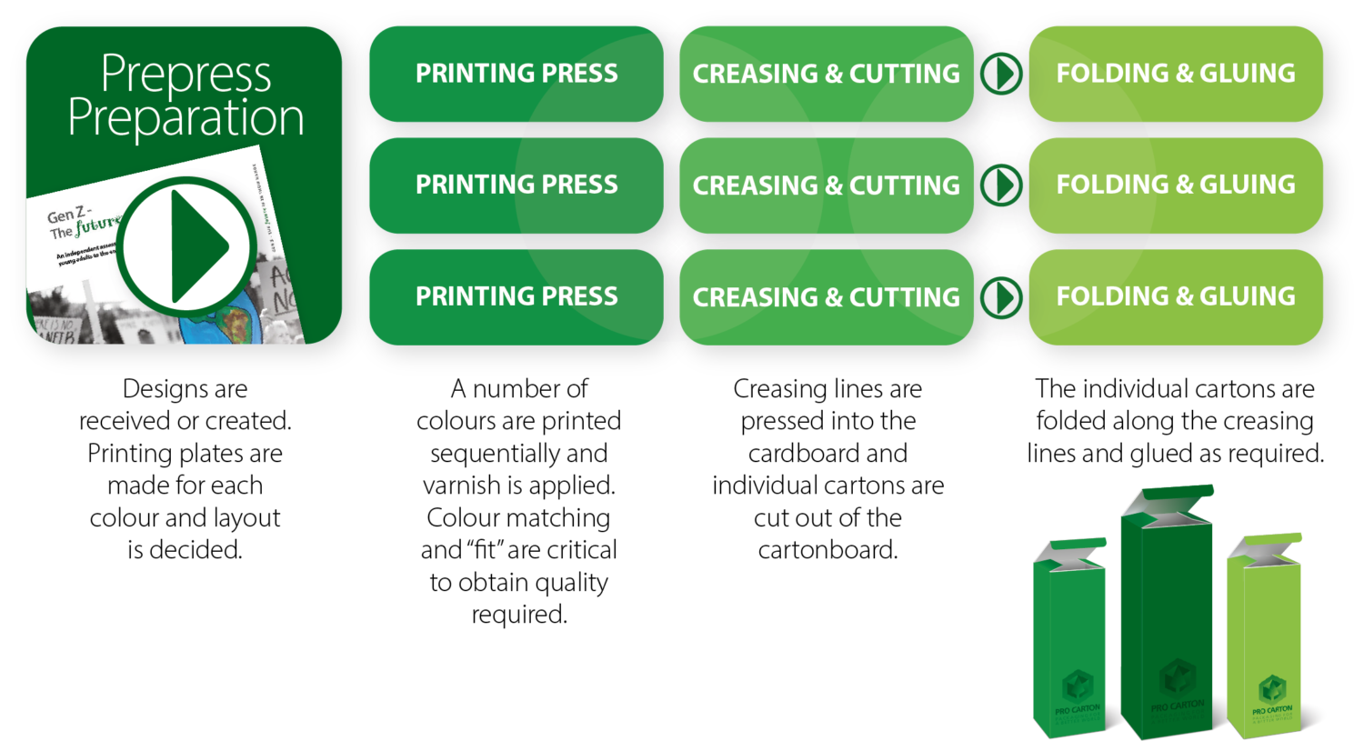 Carton Production - Pro Carton