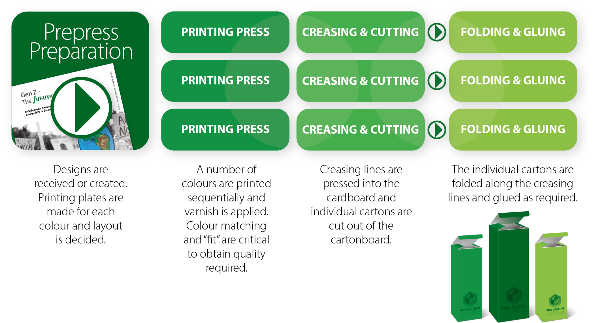 Carton Production - Pro Carton