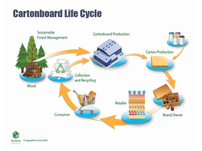 Cartonboard Life Cycle Infographic - Pro Carton