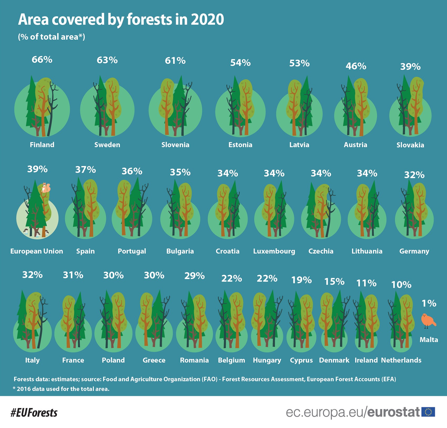 Sustainable Forest Management - Pro Carton