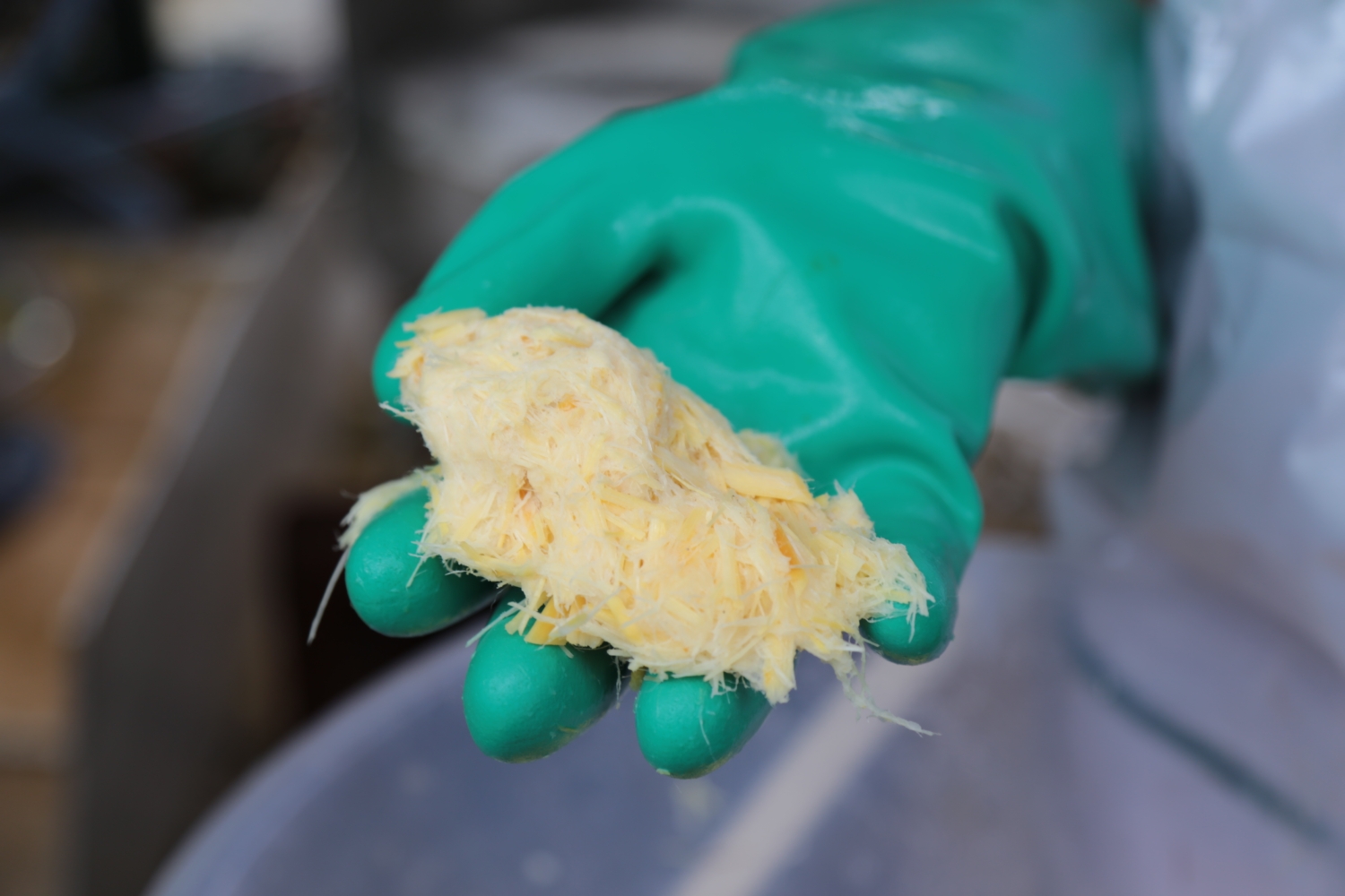 Cartonboard Production - Pro Carton