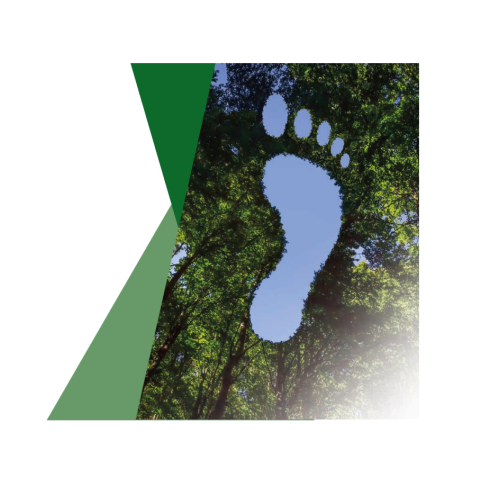 “We are promoting circularity with every square meter of cartonboard produced” - Pro Carton