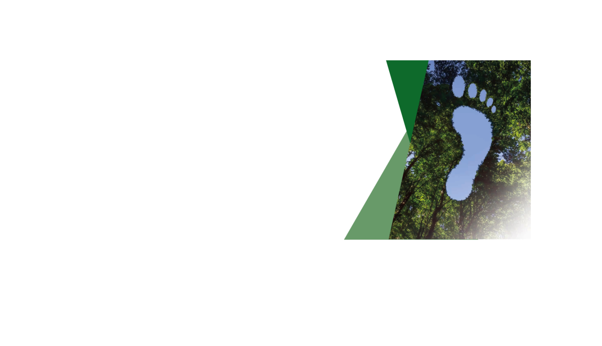 Carbon Footprint - Pro Carton